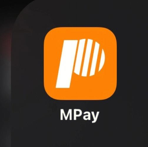 bibipay钱包下载图标