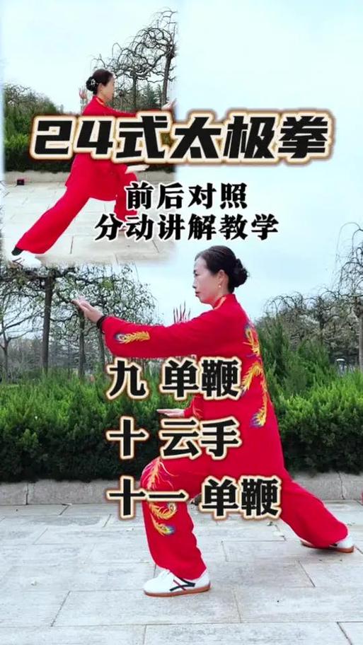 太极视频教学完整版图标