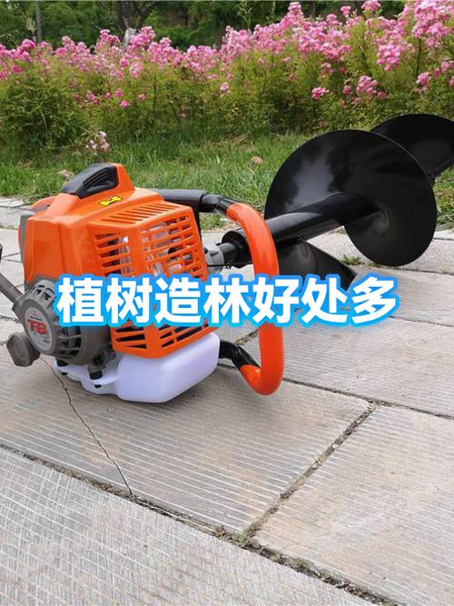 栽树的好处图标