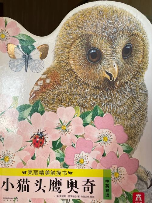 小猫头鹰奥奇图标