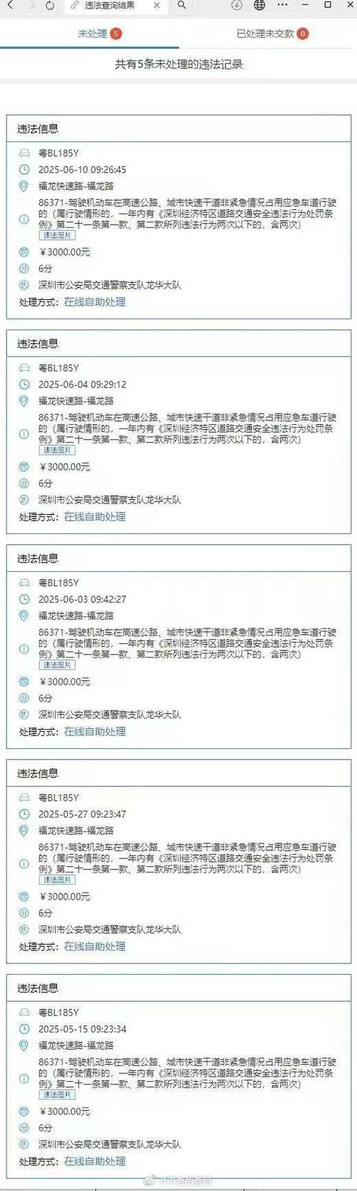交通罚款记录会留多久图标