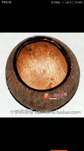 如何打开椰子壳图标