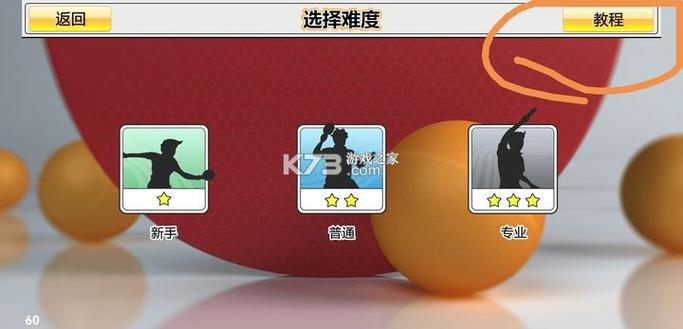 虚拟乒乓球下载安装截图