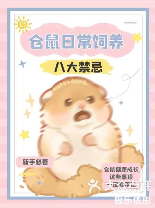 仓鼠多久不喂会饿死截图