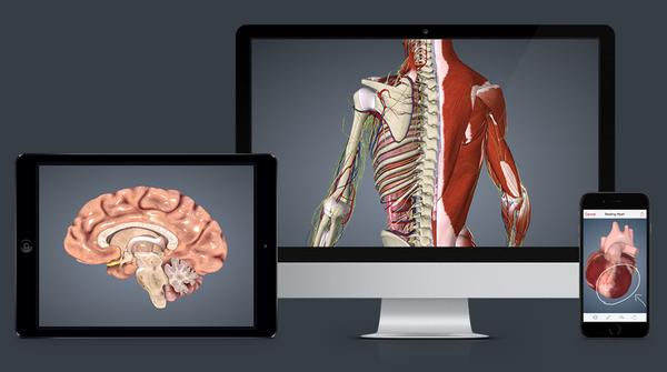 3d人体结构软件图标
