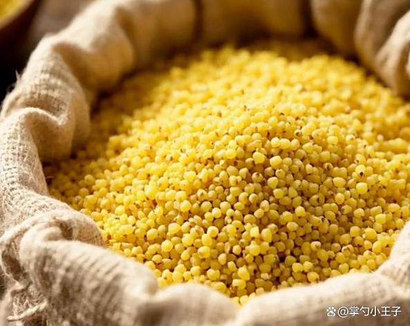 经常吃小米上火吗图标