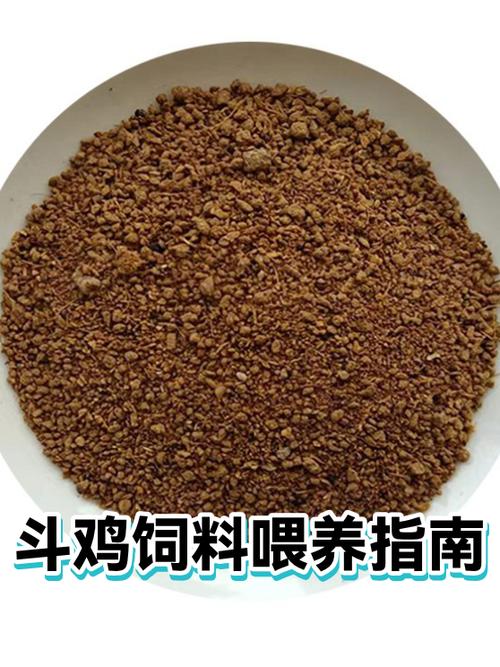 斗鸡在中国犯法吗图标