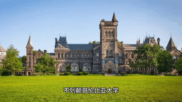 ubc大学世界排名图标