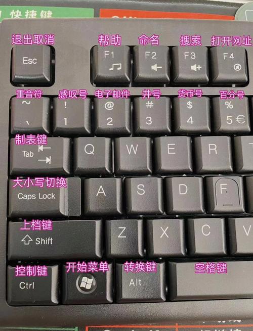 电脑全部复制按哪个键