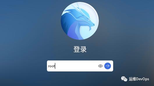 银河麒麟无法进入图形界面截图