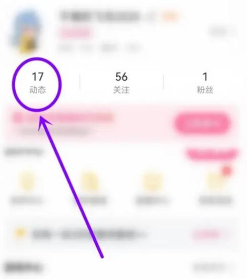 哔哩哔哩区服什么看