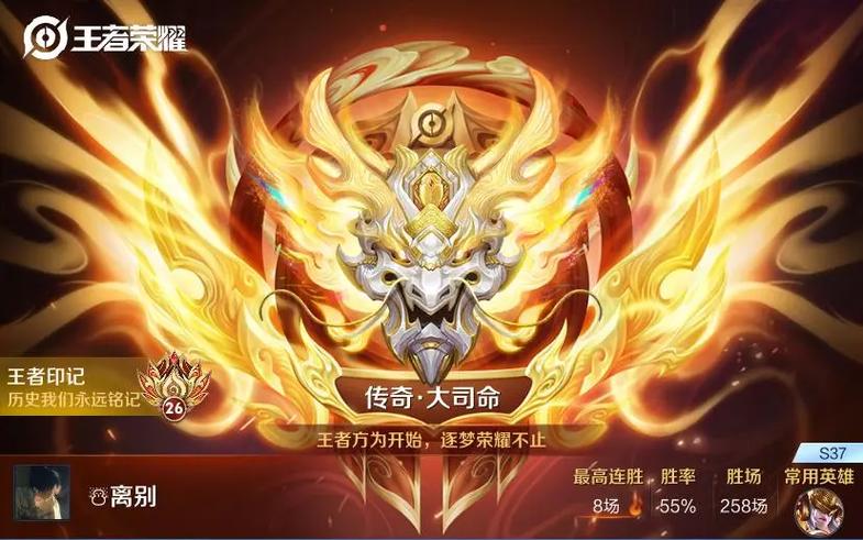 王者印记会永久保留吗图标