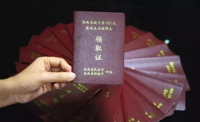 定期报告系统低保2023图标