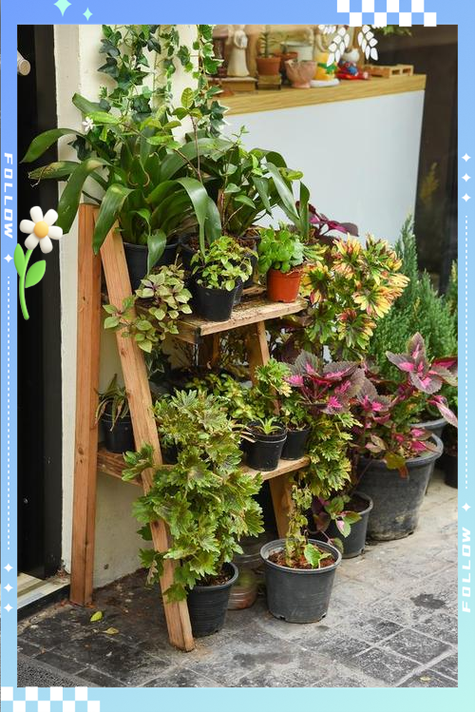 花简空间_逸图标