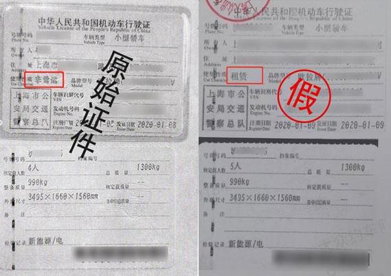 行驶证p图软件图标