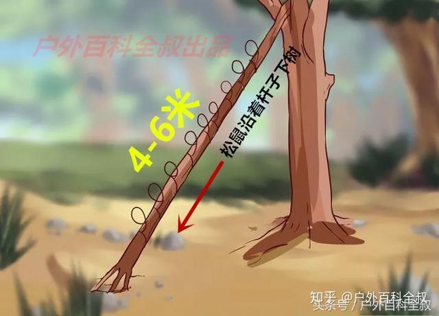 捕捉松鼠的最好方法图标