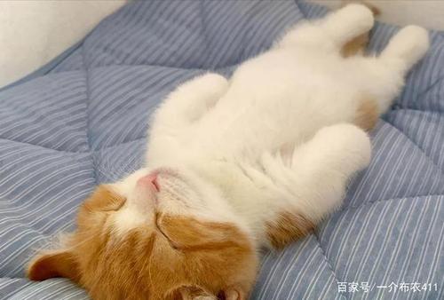 一起来躺平无限金币图标
