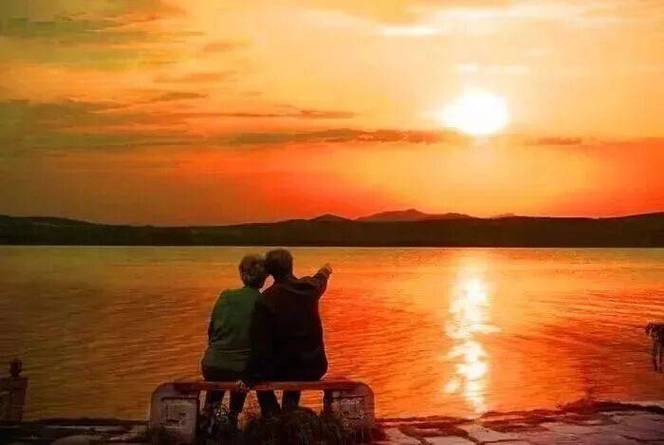 夕阳红图片图标