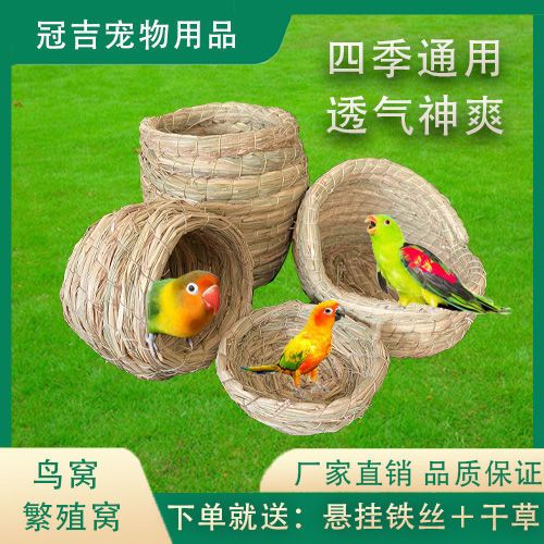 小鸟是怎么建窝的截图