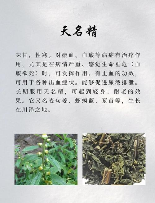 本草纲目有多少种中药图标
