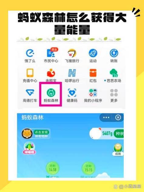 蚂蚁森林需要实名吗图标