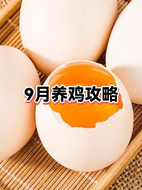 蚂蚁庄园养鸡攻略图标