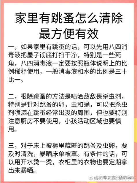 室内有跳蚤怎么根除截图