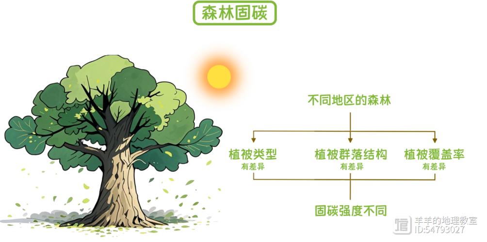 森林怎么把东西存起来