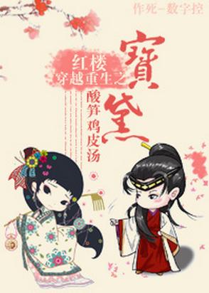 重生红楼小说图标