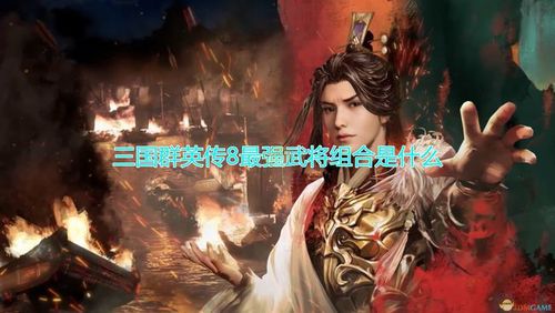 三国群英传8最强搭配图标
