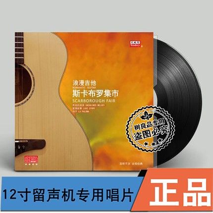 12寸唱片的尺寸图标