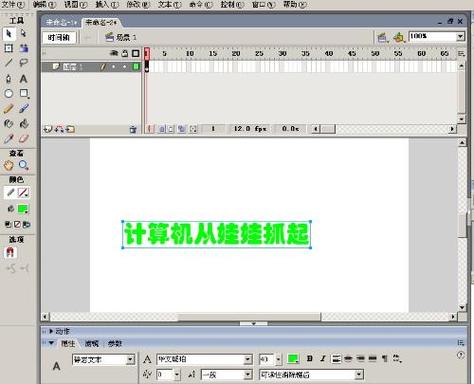什么flash没有广告图标