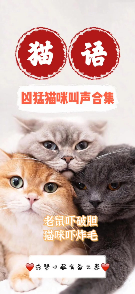 猫叫声吓老鼠专用原声图标