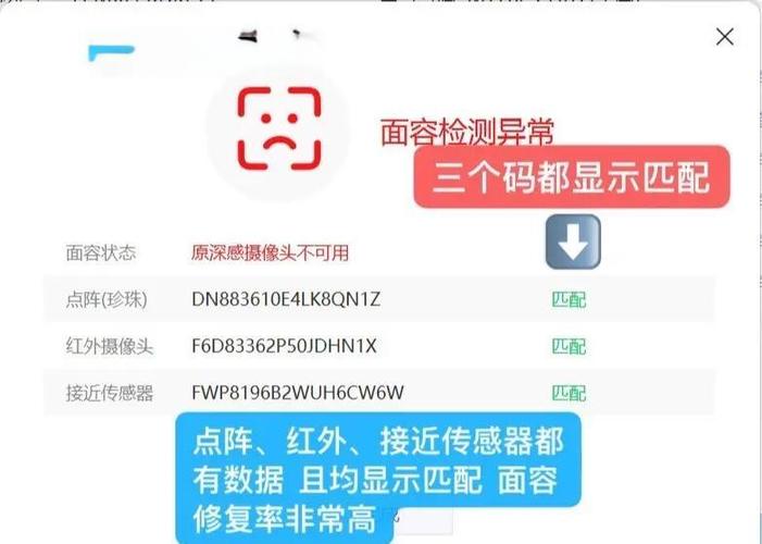 面容录不了是咋回事图标