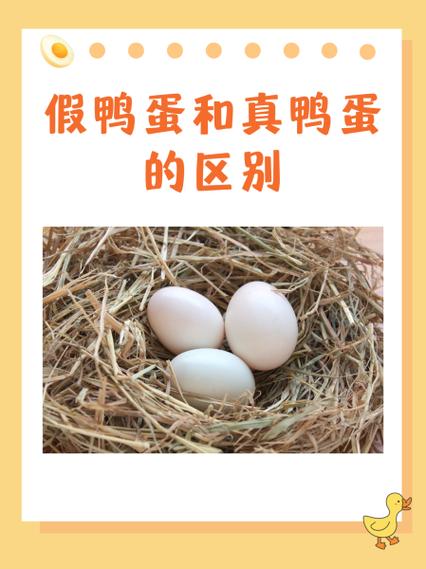 免费领鸭蛋是真的吗图标