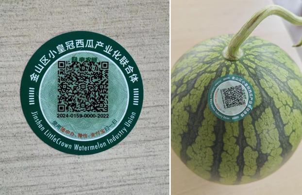 西瓜接码新平台图标