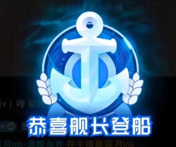 B站一个舰长截图