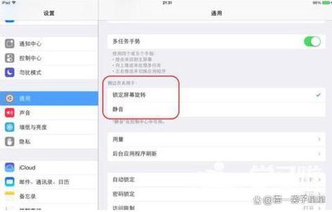 ipad锁定屏幕旋转失灵图标