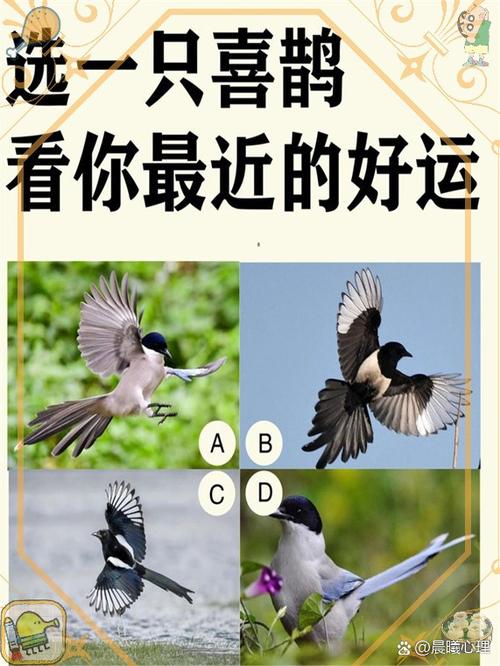 看图片测试最近的运气图标