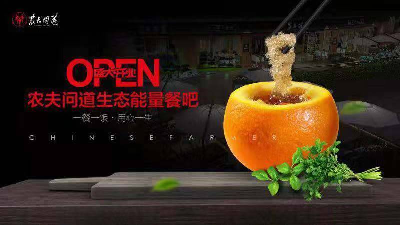农夫问道的盈利模式截图