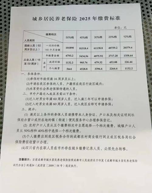 60岁一次补缴15年社保图标