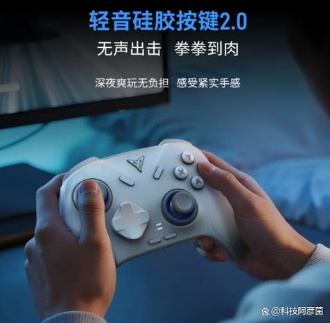 xbox连接ns手柄图标