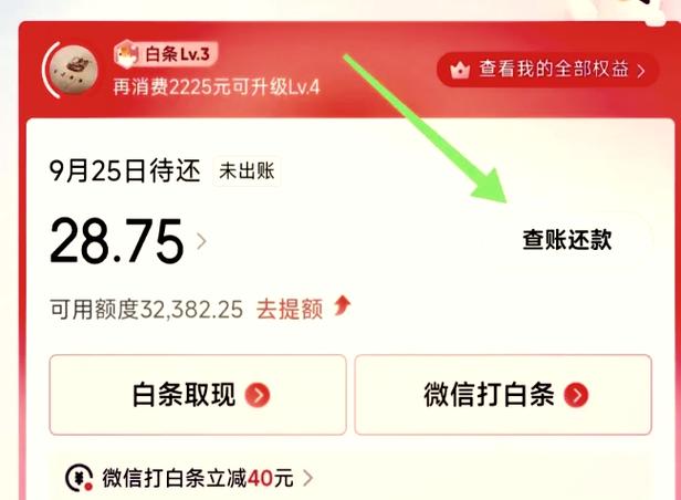 白条还款方式怎么选择图标
