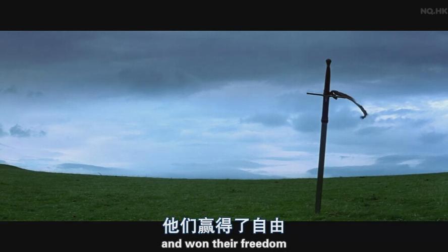 赢得自由安卓汉化图标