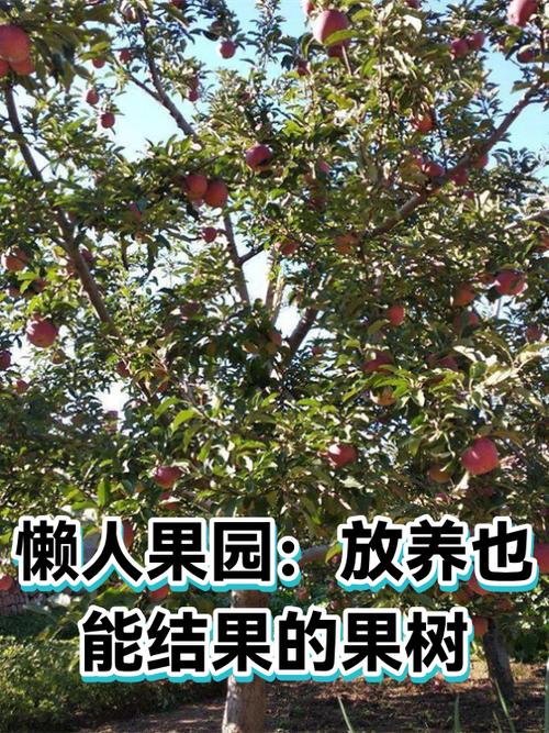 适合懒人种的水果图标