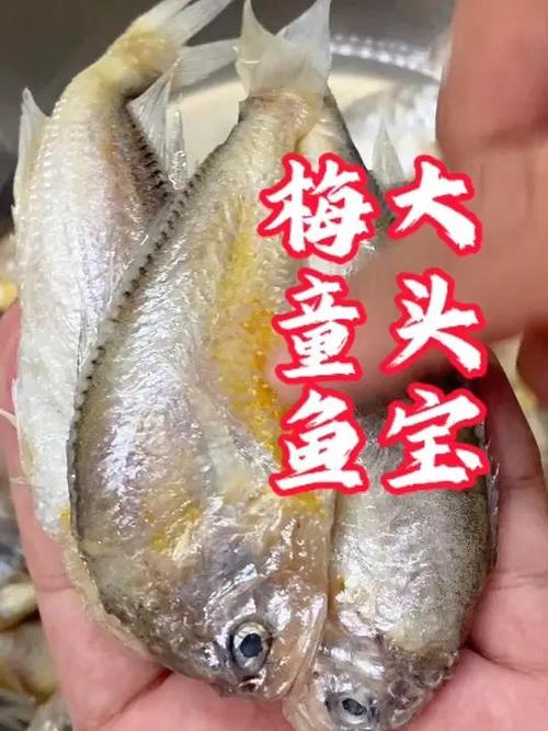 什么时候的小鱼不用去内脏吃