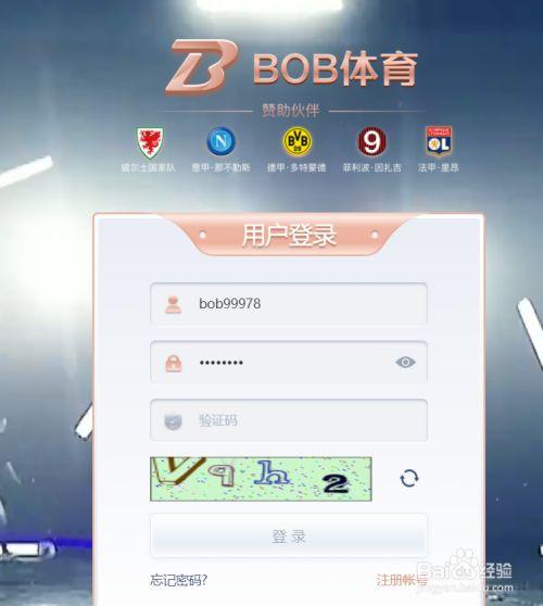 bob体体育综合app下载截图