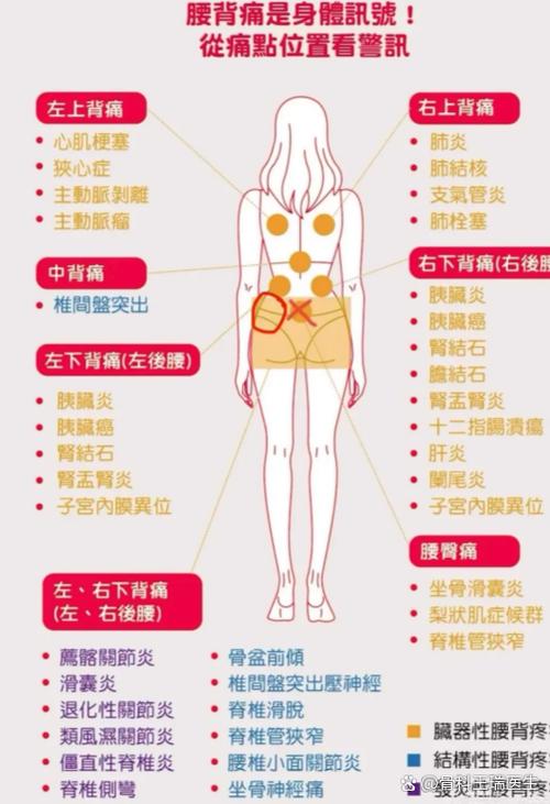 身体疼痛的原因图标