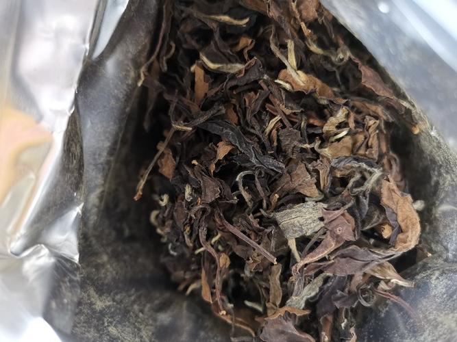 茗萃康茶多酚图标