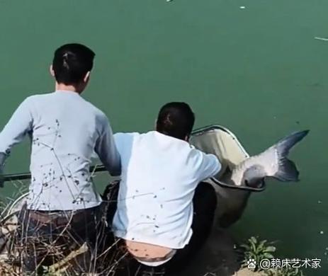 鱼塘钓大鱼的技巧图标